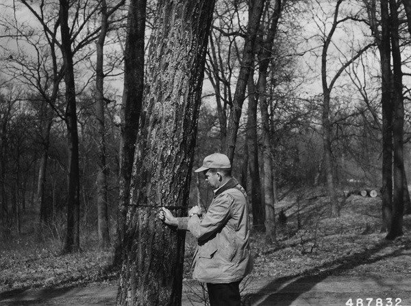 Diameter Tapes 101